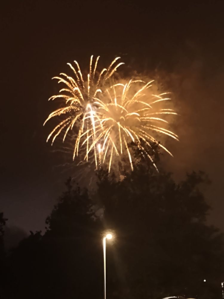 HECTOR WONG REALTY - Updated October 2024 - San Diego, California ...