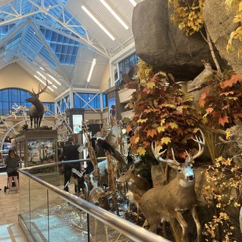 SCHEELS - Updated December 2024 - 774 Photos & 119 Reviews - 3199 W ...