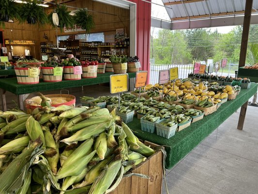 LINDA’S PRODUCE - 10 Photos - Fruits & Veggies - 5900 Hwy 58, Harrison ...