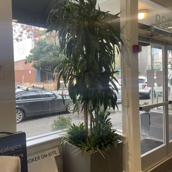 THE GREENERY SEATTLE - Updated October 2025 - Edmonds, Washington ...