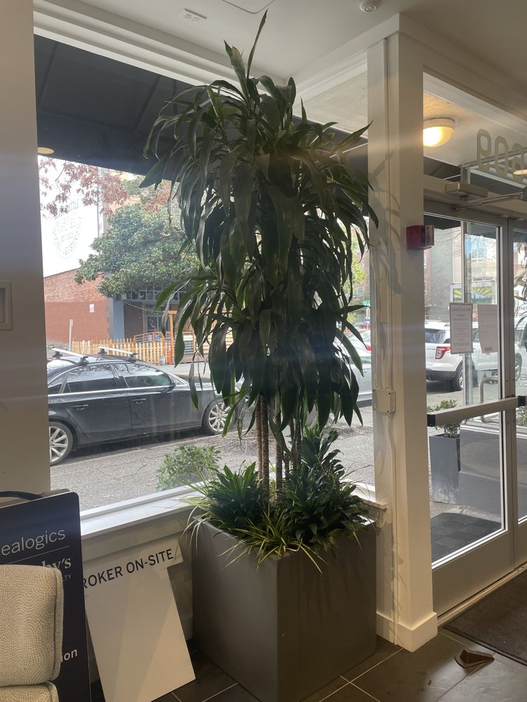 THE GREENERY SEATTLE - Updated December 2024 - Edmonds, Washington ...