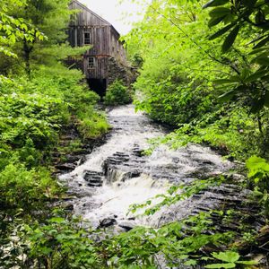 DOUGLAS STATE FOREST - 45 Photos & 16 Reviews - Hiking - 107 Wallum ...