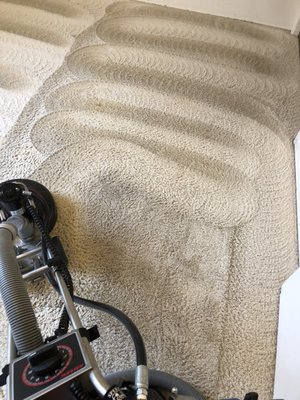 TUFF CARPET CLEANING - Updated October 2025 - 79 Photos & 14 Reviews ...