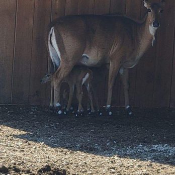 WILSTEM - Updated December 2025 - 354 Photos & 89 Reviews - 4229 W US ...