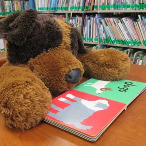 BOWMAN LIBRARY - Updated December 2025 - 871 Tasker Rd, Stephens City ...