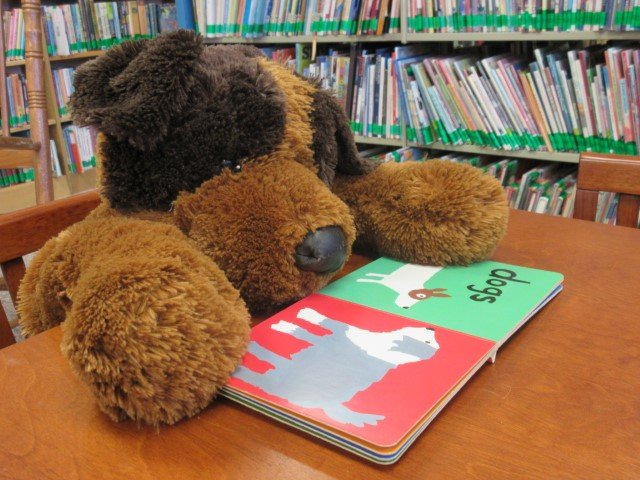 JOHN MARSHALL LIBRARY - Updated July 2025 - 4133 Rectortown Rd ...