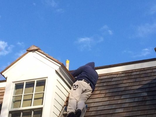 FOWLER AND SONS TERMITE & PEST CONTROL - Updated December 2025 - 11 ...