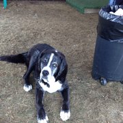 HEMSTROM VALLEY TREE FARM CHRISTMAS TREES - TEMP. CLOSED - 21 Photos ...