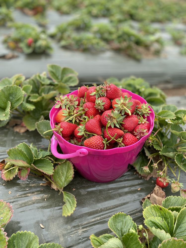 CRYSTAL BAY FARM - Updated August 2024 - 146 Photos & 64 Reviews - 40 ...