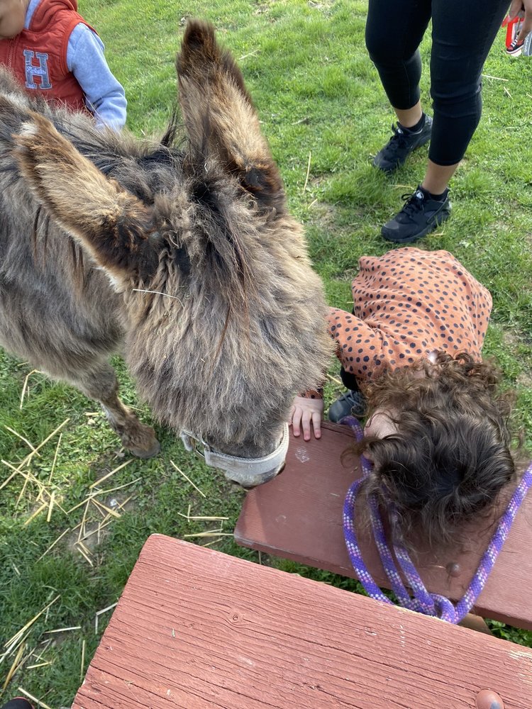 REAL LIFE DAYCAMP AND FARM - Updated September 2025 - 23 Photos & 19 ...