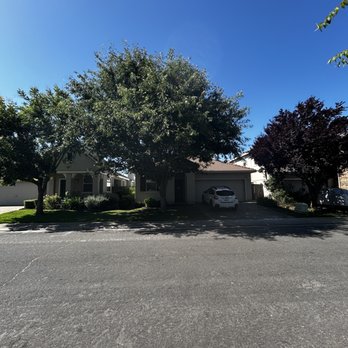 H G TREE SERVICE - Updated October 2025 - 136 Photos & 51 Reviews ...