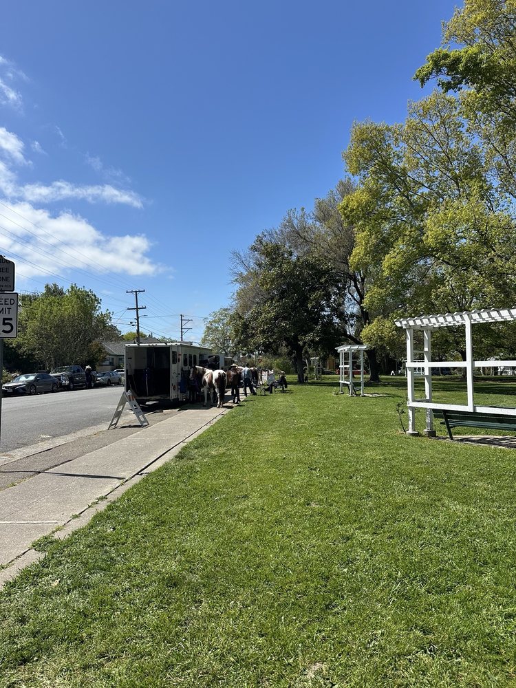 WICKERSHAM PARK - Updated October 2025 - 4th & G St, Petaluma ...