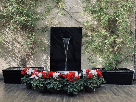 ROOTVISION ENDO - Updated January 2026 - 54 Photos & 212 Reviews - 3663 ...