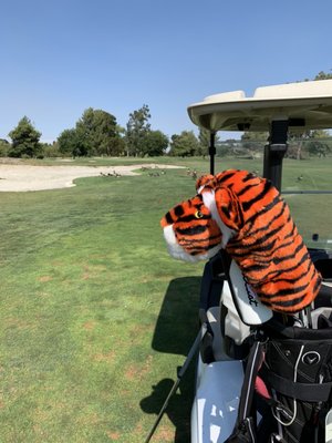 LAS POSITAS GOLF COURSE - Updated July 2024 - 63 Photos & 156 Reviews ...