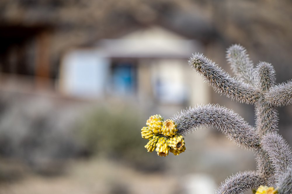 PETROGLYPH NATIONAL MONUMENT VISITOR CENTER - Updated July 2024 - 15 ...