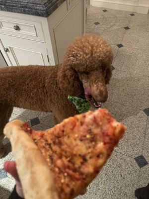 SUNRISE PIZZERIA - Updated September 2025 - 88 Photos & 111 Reviews - 7 ...