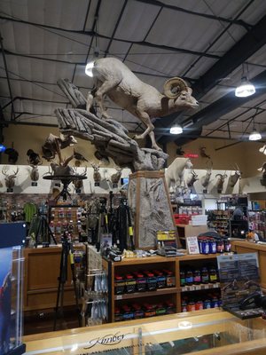 SPRAGUE’S SPORTS - Updated August 2024 - 10 Photos & 72 Reviews - 345 W ...