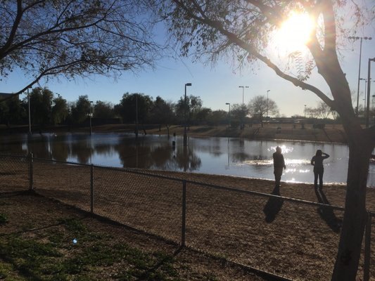 QUAIL RUN PARK - 22 Photos & 37 Reviews - 4155 E Virginia St, Mesa, AZ ...