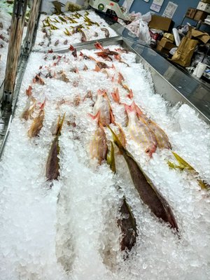 ATLANTIC FISH MARKET - Updated October 2025 - 13 Photos - 1729 W Oak ...