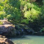 GEORGE ROGERS PARK - 117 Photos & 46 Reviews - 611 S State St, Lake ...