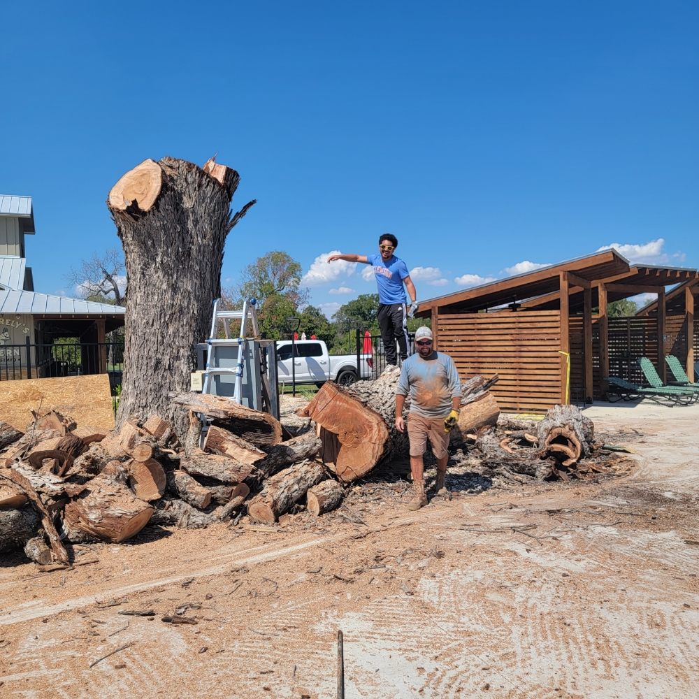 ALL AMERICAN TREE AND LANDSCAPING SERVICES - Updated September 2025 ...