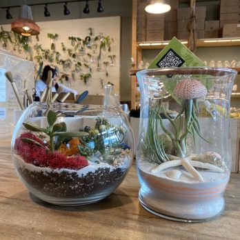 PLANTHOUSE - Updated November 2025 - 303 Photos & 104 Reviews - 2452 ...