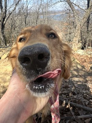 KEYSTONE ANCIENT FOREST - Updated March 2025 - 22 Photos - 160 Ancient ...
