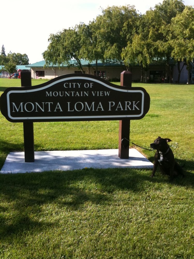MONTA LOMA PARK - Updated August 2025 - 460 Thompson Ave, Mountain View ...