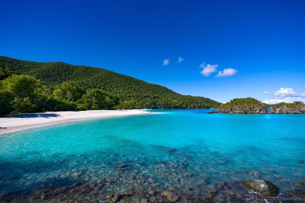 PALM TREE TRAVEL BY KIM - Updated July 2025 - Contact Agent - Swansea ...