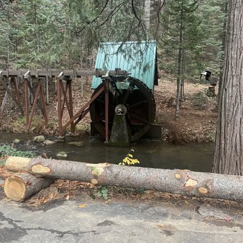 LITTLE BEAR TREE FARM - Updated November 2025 - 46 Photos & 29 Reviews ...