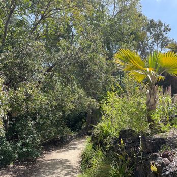 UCLA MATHIAS BOTANICAL GARDEN - Updated May 2025 - 452 Photos & 111 ...