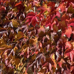 SOUTH SHELL PARK - Updated August 2025 - 3376 Lakeshore Rd W, Oakville ...