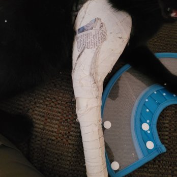 LOMA LINDA ANIMAL HOSPITAL - Updated July 2024 - 222 Photos & 671 ...