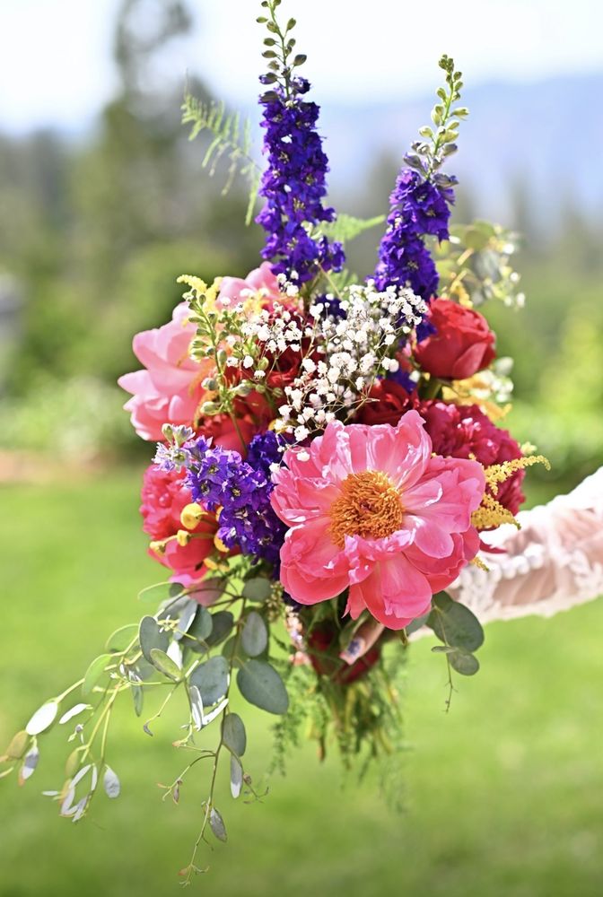 SIERRA FLOWERS - 30 Photos & 10 Reviews - 5014 Main St, Coulterville ...