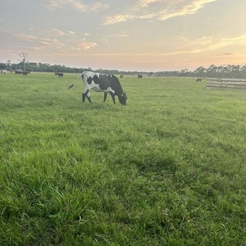 BLOSSOM & BRIE - Updated January 2025 - 124 Photos & 45 Reviews - 8250 ...