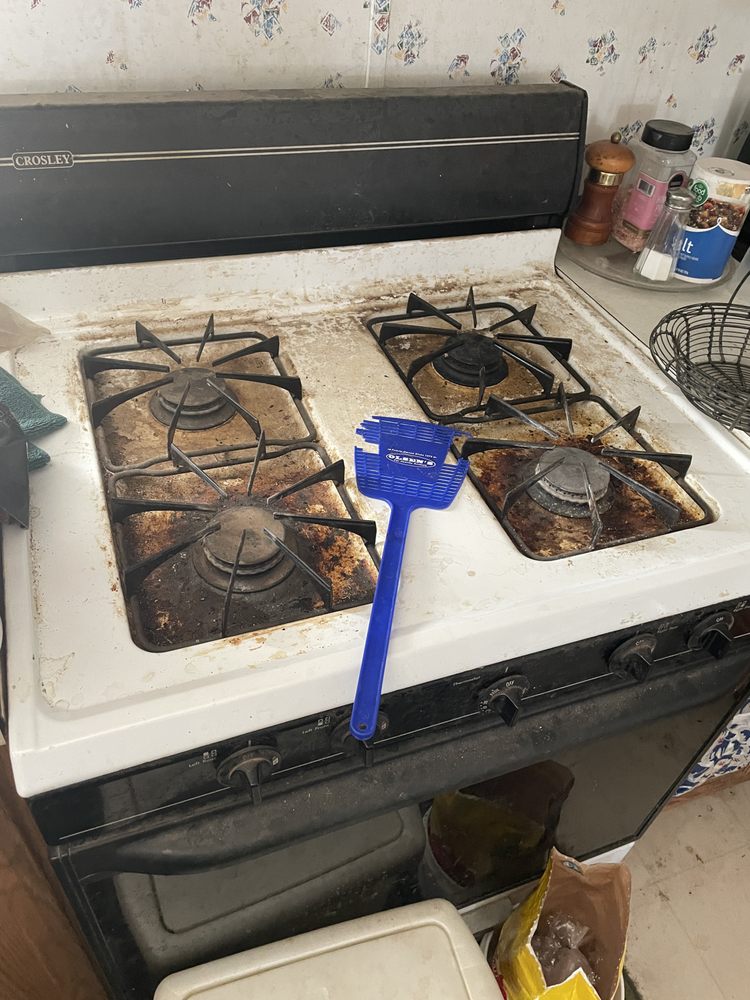 THE CLEANING LADY JADEN - Updated December 2024 - Request a Quote - 10 Photos - Phoenix, Arizona ...