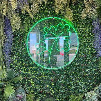 CILANTRO LATIN FUSION - Updated July 2024 - 173 Photos & 76 Reviews ...