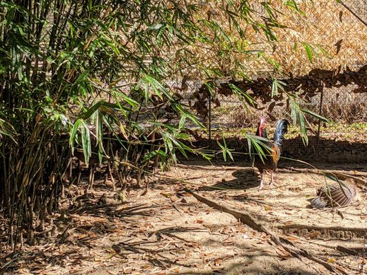 BATON ROUGE ZOO - Updated November 2025 - 412 Photos & 64 Reviews ...