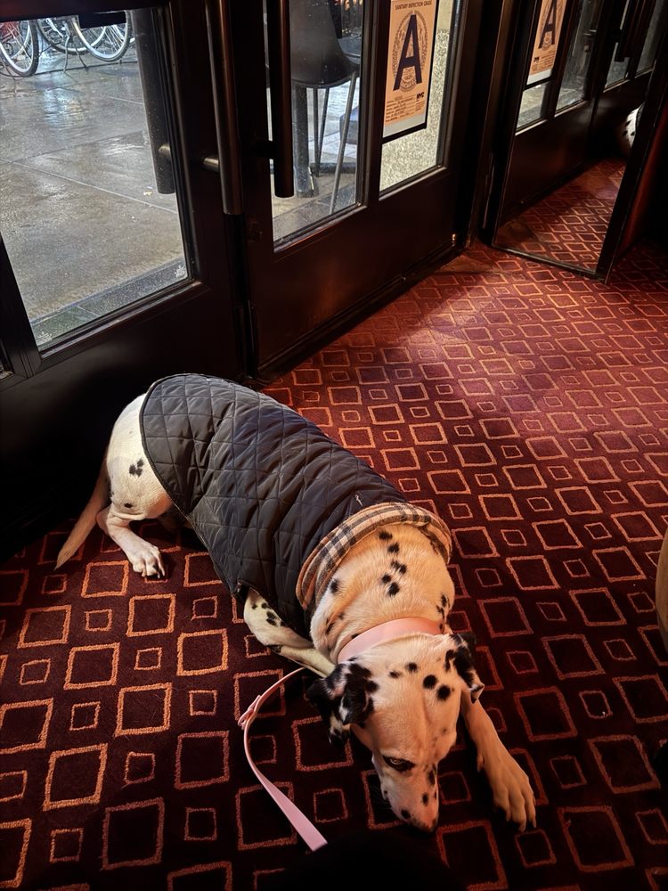 THE MARK HOTEL BAR - Updated October 2025 - 62 Photos & 65 Reviews - 25 ...
