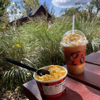 TOUGAS FAMILY FARM - Updated October 2025 - 383 Photos & 214 Reviews ...