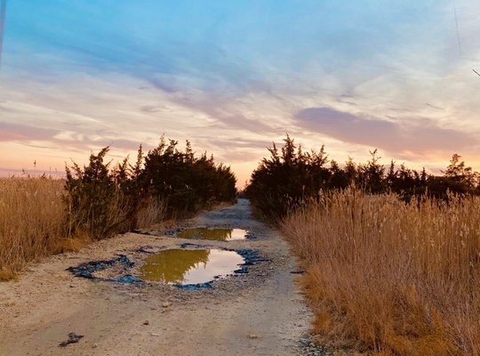 MOORE’S BEACH - Updated October 2025 - 26 Photos - Moore's Beach ...