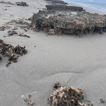 BLOWING ROCKS PRESERVE - Updated January 2025 - 481 Photos & 96 Reviews ...