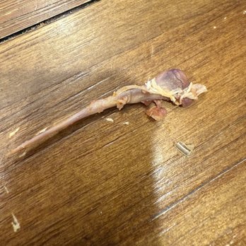 ALVARADO’S - Updated October 2025 - 14 Photos & 34 Reviews - 4750 Royal ...