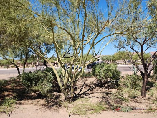 FELIX LANDSCAPE - Updated December 2025 - 131 Photos & 14 Reviews ...