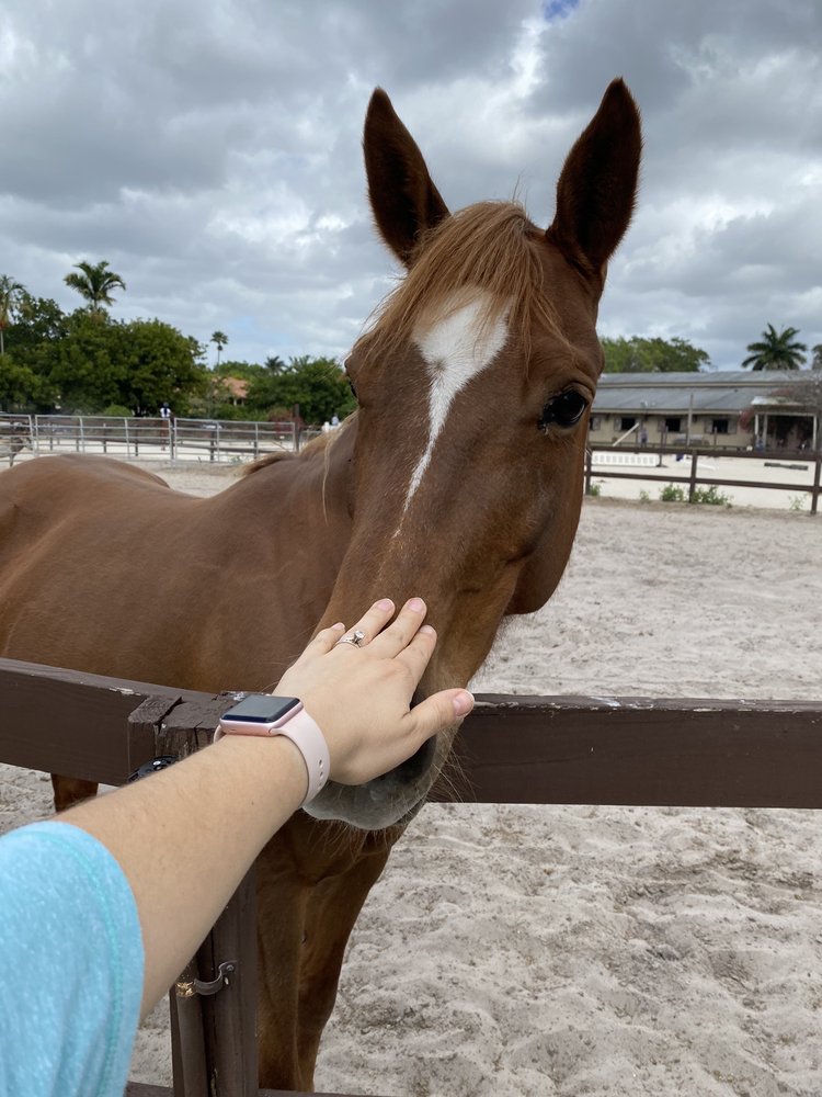 DAVIE RANCH - 98 Photos & 36 Reviews - Venues & Event Spaces - 5600 SW ...