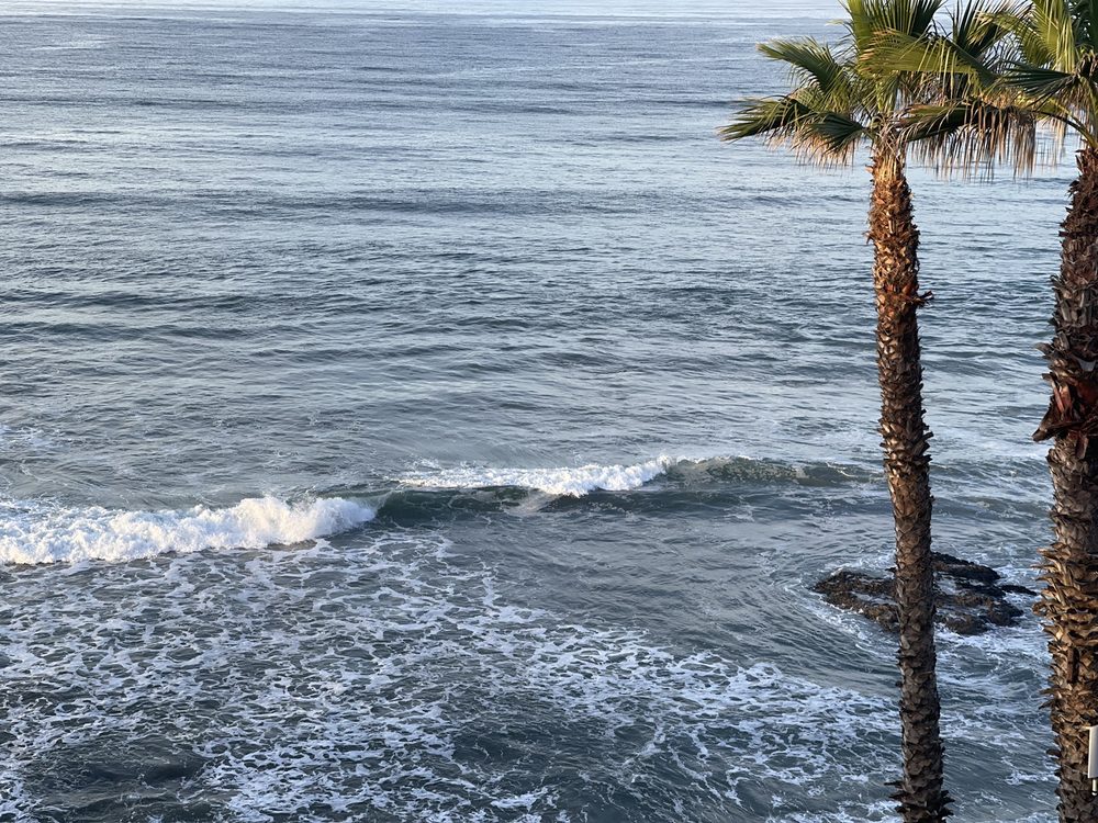 LAS ROCAS RESORT - 502 Photos & 175 Reviews - Resorts - Carretera Libre ...