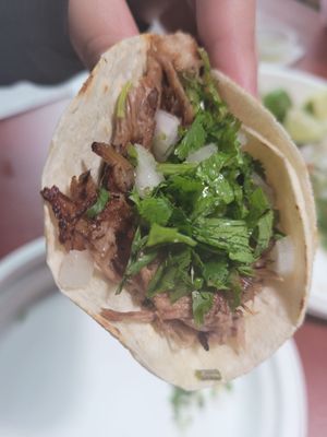 EL FORASTERO MEXICAN FOOD - 48 Photos & 45 Reviews - 2680 Grass Valley ...