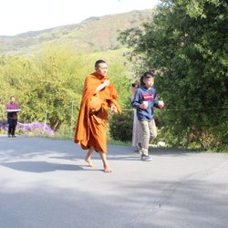 METTA FOREST MONASTERY - 229 Photos - 13560 Muutama Ln, Valley Center ...