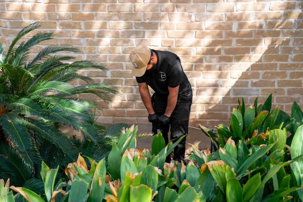 The Bearded Plumber - Updated September 2025 - 49 Photos - 11 Reviews ...