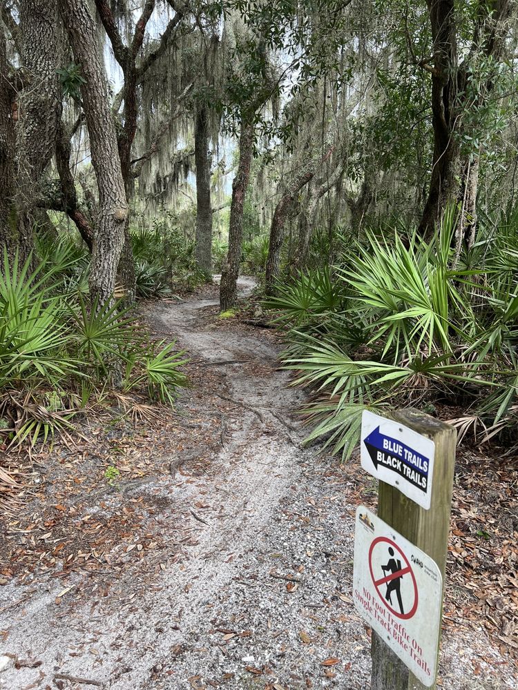 BALM BOYETTE SCRUB PRESERVE - Updated December 2025 - 50 Photos & 10 ...
